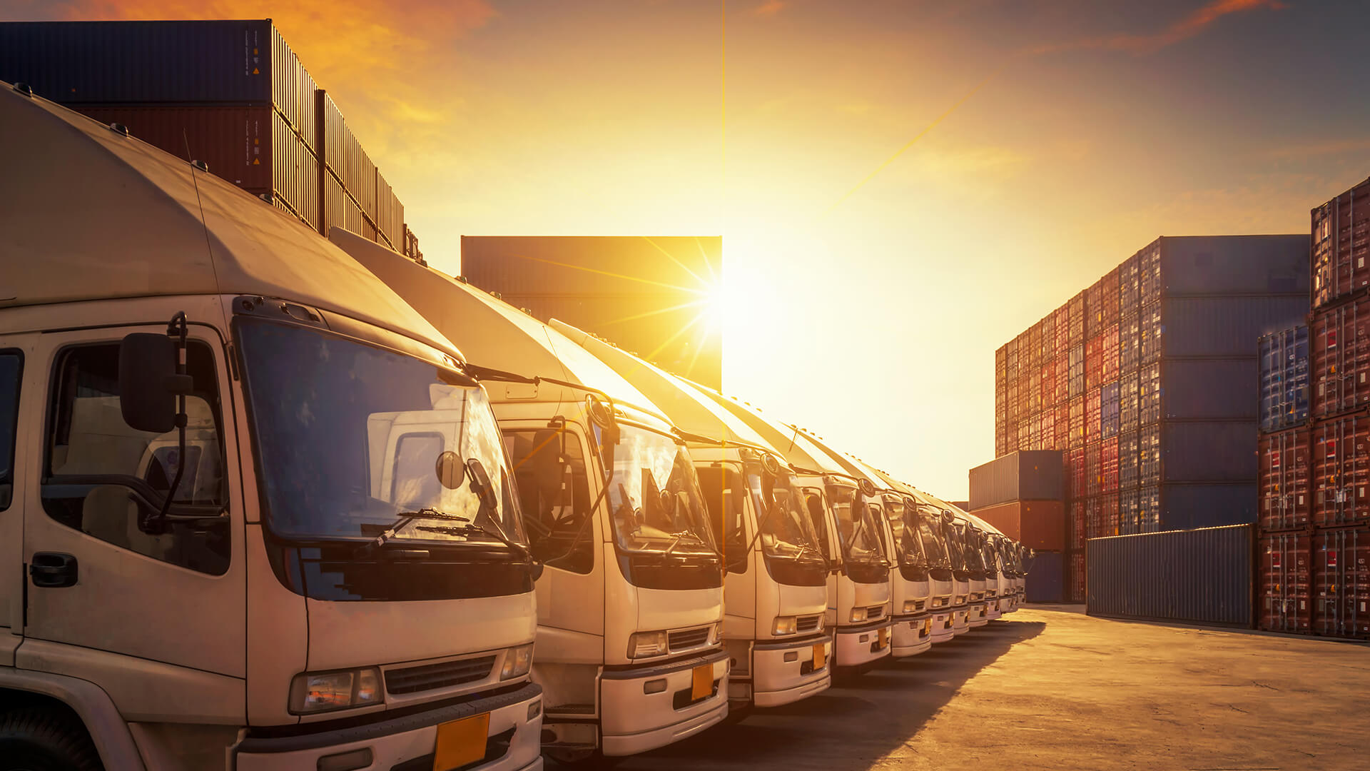 Distributor Loyalty Programs - Incremental