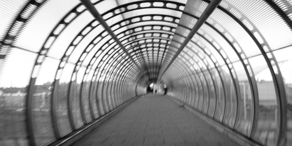 Exploring The Different Categories of Customer Loyalty - Incremental