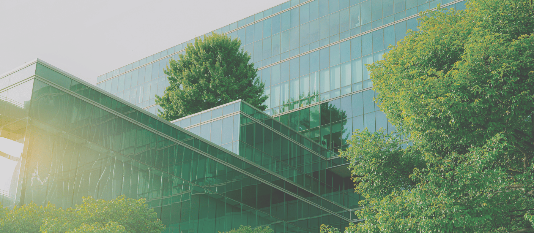 Sustainable Incentive Programs for Eco-Friendly Businesses